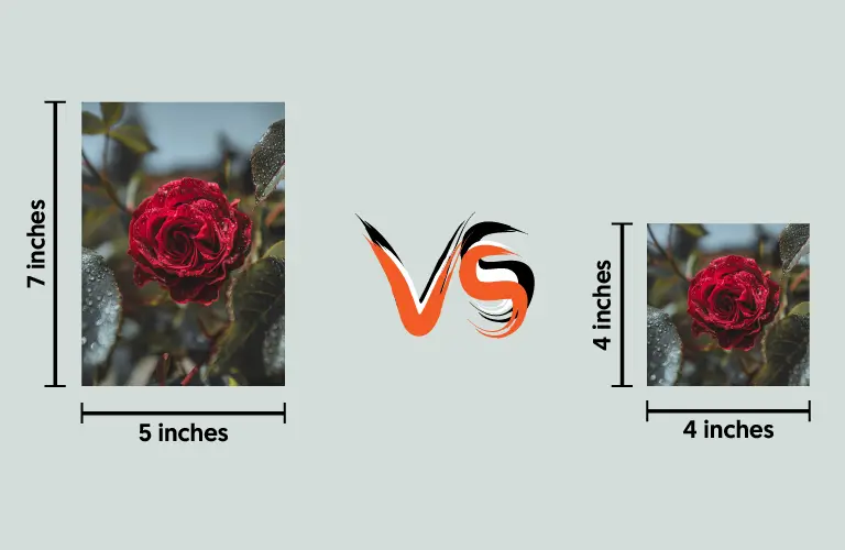 How Big Is a 5×7 Photo Size? (Inches, CM, Pixels & More)