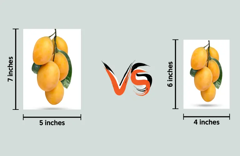 How Big Is a 5×7 Photo Size? (Inches, CM, Pixels & More)